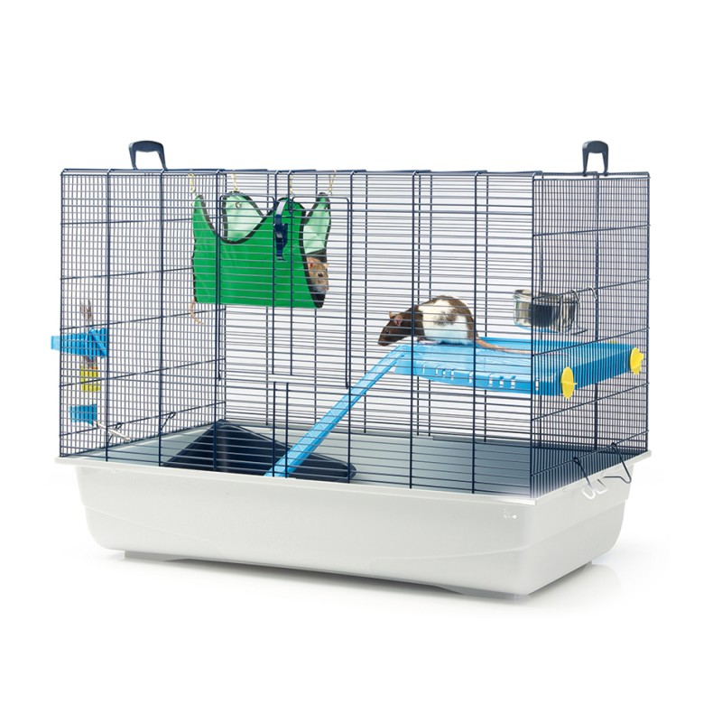 Cage Rat Domestique : Animalerie en Ligne Animaux-Market